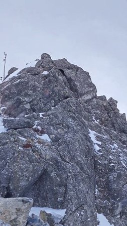 Уральская пантера