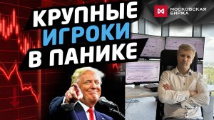 Трещина в мировой экономике и ее влияние на фондовый рынок России.