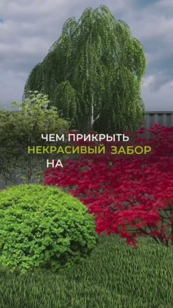 Готовые композиции для вашего сада👇🏼