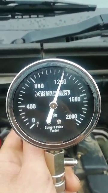 VID-20250312-WA0003