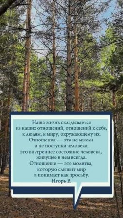Жизнь слышит меня
