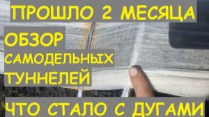 ПРОШЛО 2 МЕСЯЦА ЧТО СТАЛО С ДУГАМИ ОБЗОР САМОДЕЛЬНЫХ ТУННЕЛЕЙ