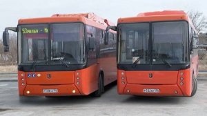 Курсирующий в Калининском районе автобусный маршрут перевели на муниципальный контракт