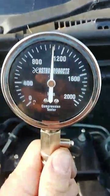 VID-20250221-WA0002