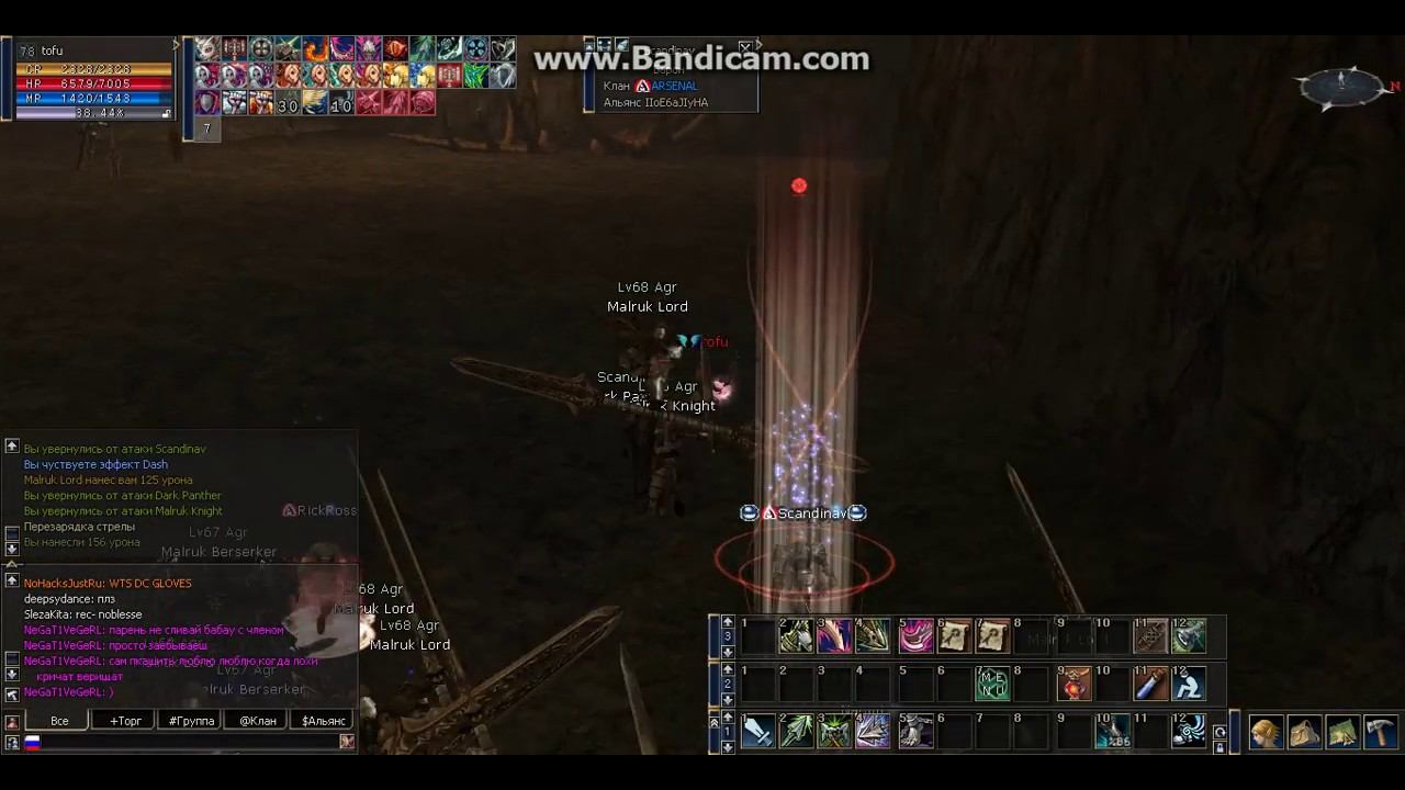 Lineage II euro-pvp x100 фан ПК