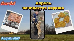Из Германии в Россию. Жизнь в селе: покупки, отдых и наш Джексон.