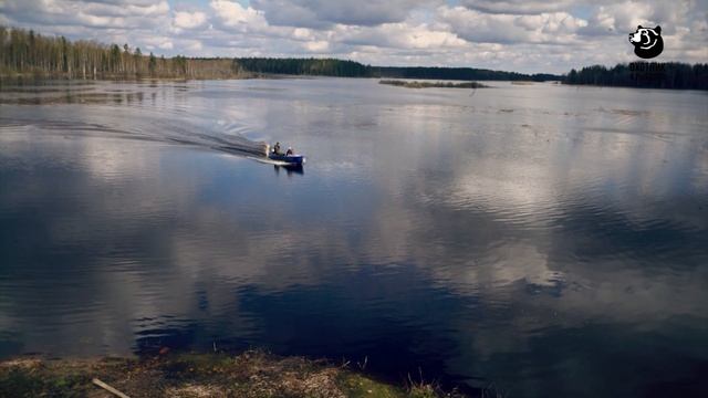 Весенняя охота на селезня с подсадной. Промо. Канал Охотник и Рыболов