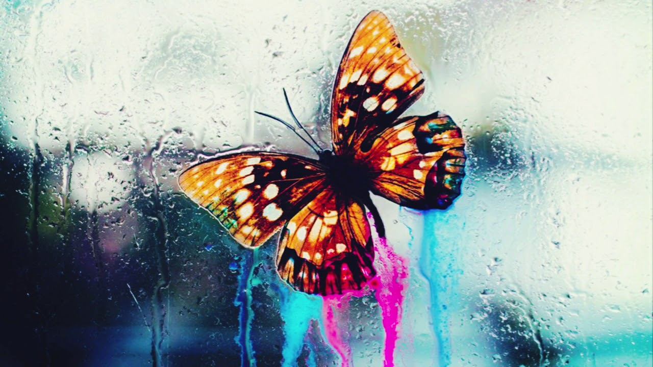 Иван Бунин "Настанет день - исчезну я..." Читает Павел Морозов