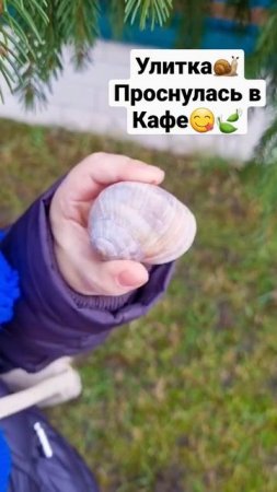 Улитка согрелась и проснулась в Кафе🤗#shorts#улитка#жиза#весна#рекомендации#мило#shortvideo#животны