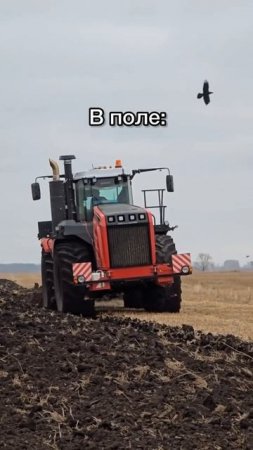 Где отдыхает твоя душа?