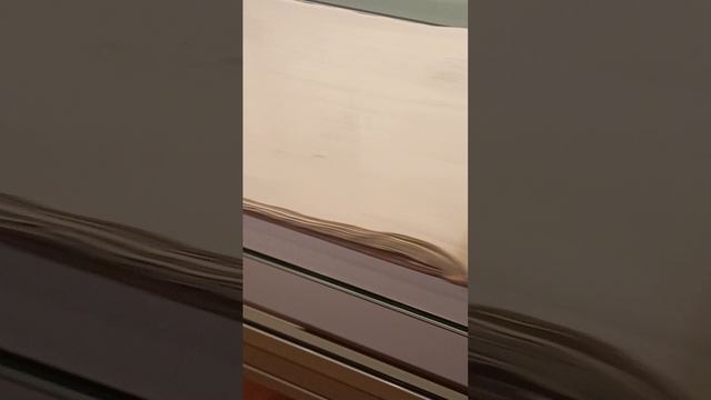 Буйство декоративной французской графики. Часть вторая. Выставка Французская манера в Эрмитаже.