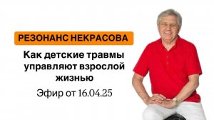 Резонанс Некрасова "Как детские травмы управляют взрослой жизнью"