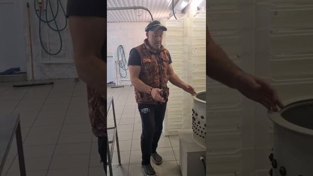 Модернизация цеха убоя Перепелов. Краснодарский край.