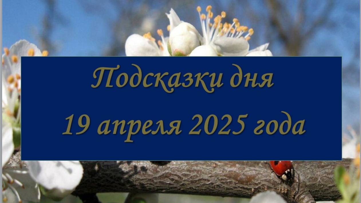 Гороскоп на 19 апреля 2025 года (общий, по показателям дня)