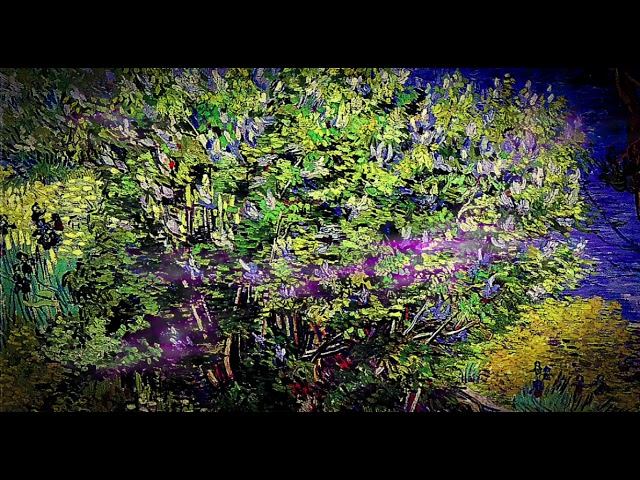 Александр Блок "После дождя" (Сирени бледные дождем к земле прибиты…) Читает Павел Морозов