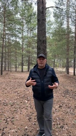 Сонастройка с деревом