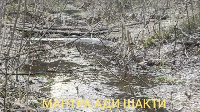 МАНТРА АДИ ШАКТИ