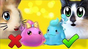 ЛИЗУН ЧЕЛЛЕНДЖ! КРОЛИК БАФФИ и КОТ МАЛЫШ делают СЛАЙМ! новый SLIME CHALLENGE!  А ну-ка давай-ка