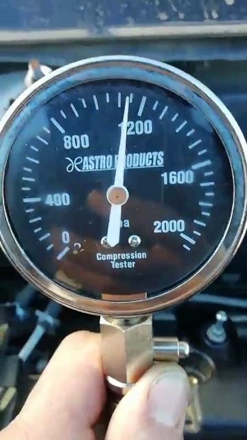 VID-20250220-WA0002