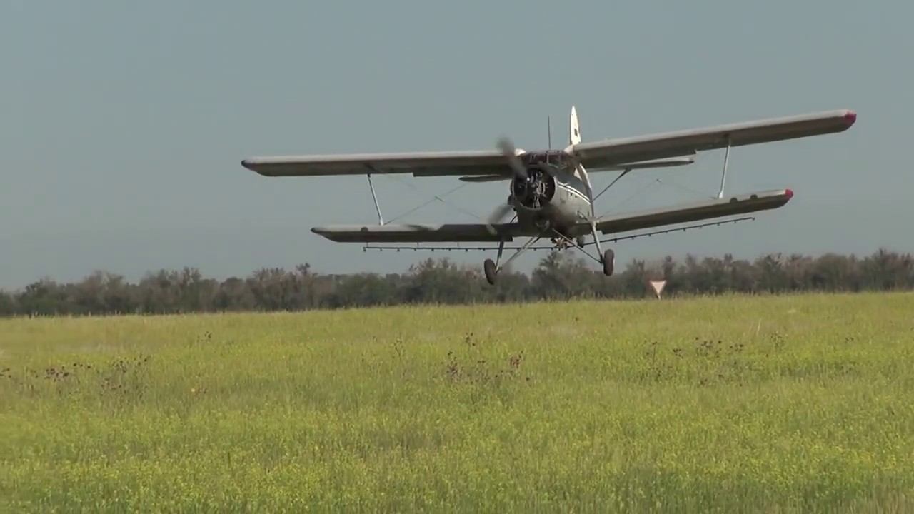 Река Хопер  Полет над займищем.