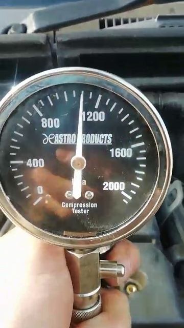 VID-20250313-WA0003