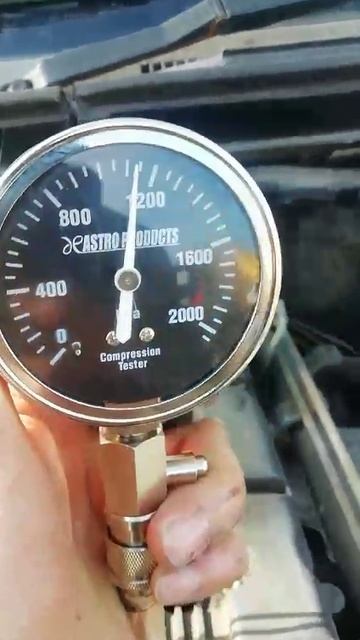VID-20250313-WA0004