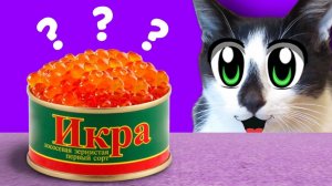ОБЫЧНАЯ ЕДА ПРОТИВ КОТОВ ЧЕЛЛЕНДЖ! ПРИКОЛЫ с КОТАМИ или ЧТО ВЫБЕРЕТ КОТ и Мурка? А ну-ка давай-ка