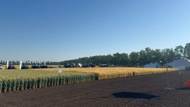 День поля 2024