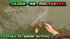 САЗАН на ДЕДУВСКУЮ СНАСТЬ. Рыбалка в Астрахани на бель)