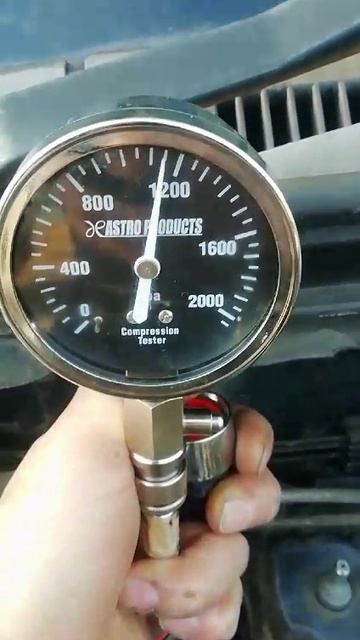 VID-20250313-WA0001
