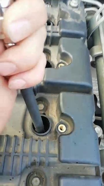 VID-20250217-WA0009