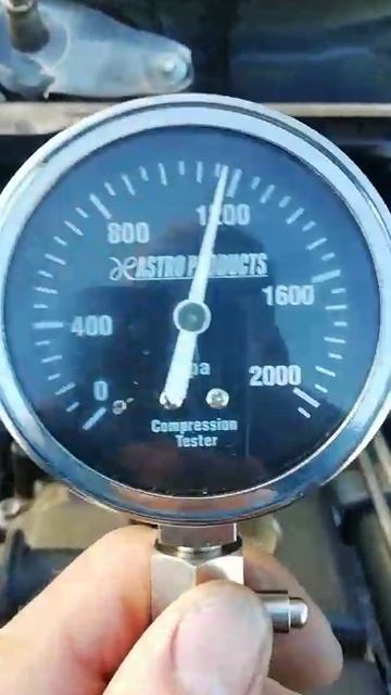 VID-20250220-WA0004