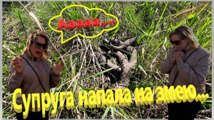 Супруга напала на змею. Крутые берега Ейского лимана. Ейск.