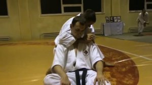 Jime waza. Ката удушаючих сидячи. Bushinkan Ju-Jutsu
