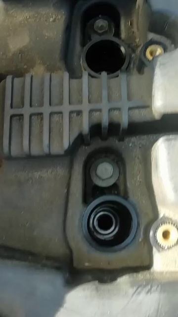 VID-20250313-WA0002