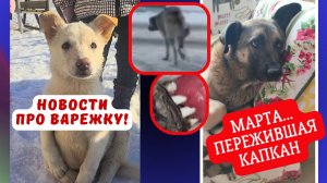 Ещё 3 души, работа продолжается…