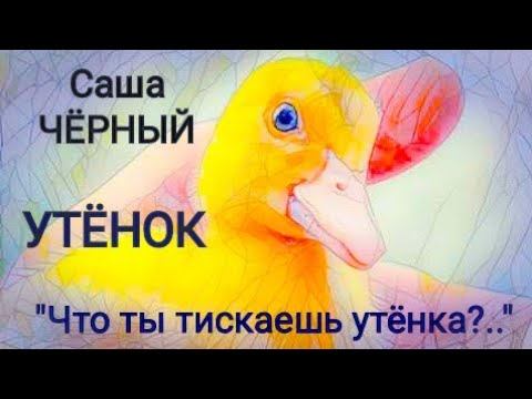 Саша Чёрный "Что ты тискаешь утенка?" Читает Павел Морозов