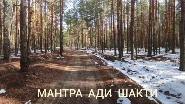 МАНТРА АДИ ШАКТИ