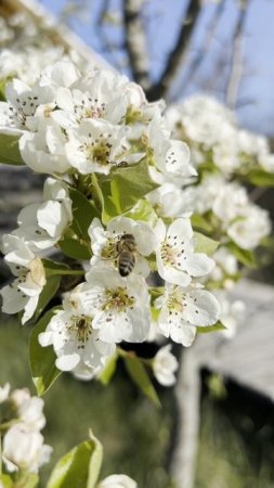Весна, время пробуждения от спячки