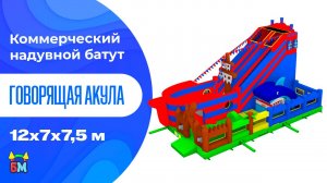 Коммерческий надувной батут «Говорящая акула», 12x7x7,5 м