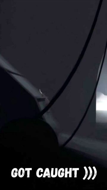 собаки все-таки меня поймали ))) #собаки #злые #тьма #загрызли #игры #страшно