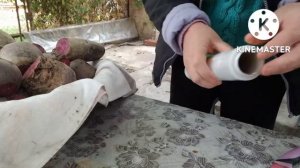 Зберігаємо буряк до весни. Як зберегти буряк, щоб був, як свіжий?