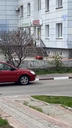 💪 Белгородцы за ЗОЖ

В любой непонятной ситуации и в любом месте — отжимайся!