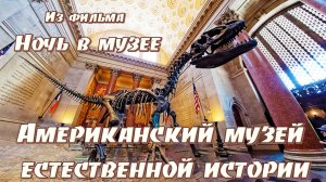 Из фильма "Ночь в музее". Американский музей естественной истории. Нью-Йорк.