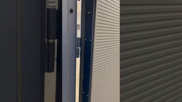 Обзор двери «Фархат»