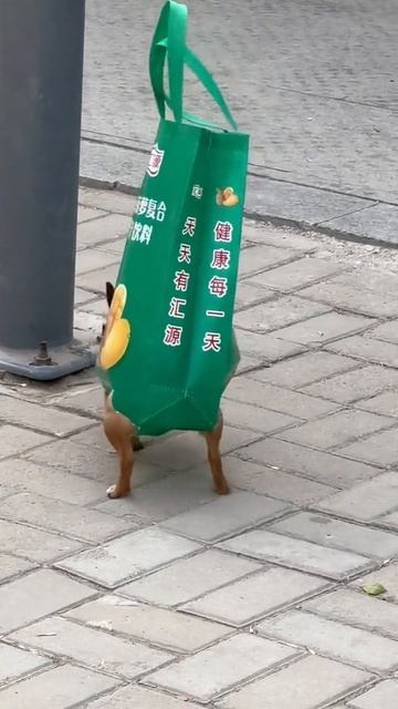 Удобно😀