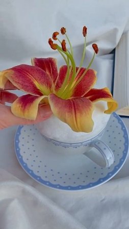 SWEET THINGS | TEA  beauty | style women | morning vibes | good vibration | #shorts flower art