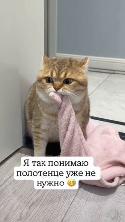 Я так понимаю полотенце уже не нужно...