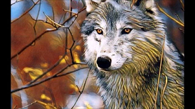 Чудесное спасение. Удивительный случай