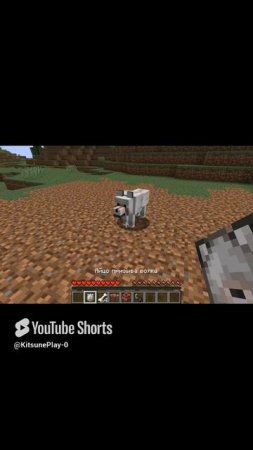 Minecraft Эксперементы - №1 Взрыв собаки